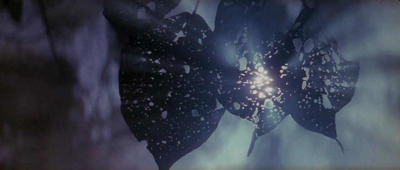 The 15 Best Shots In Terrence Malick's Movies - Page 3 of 3