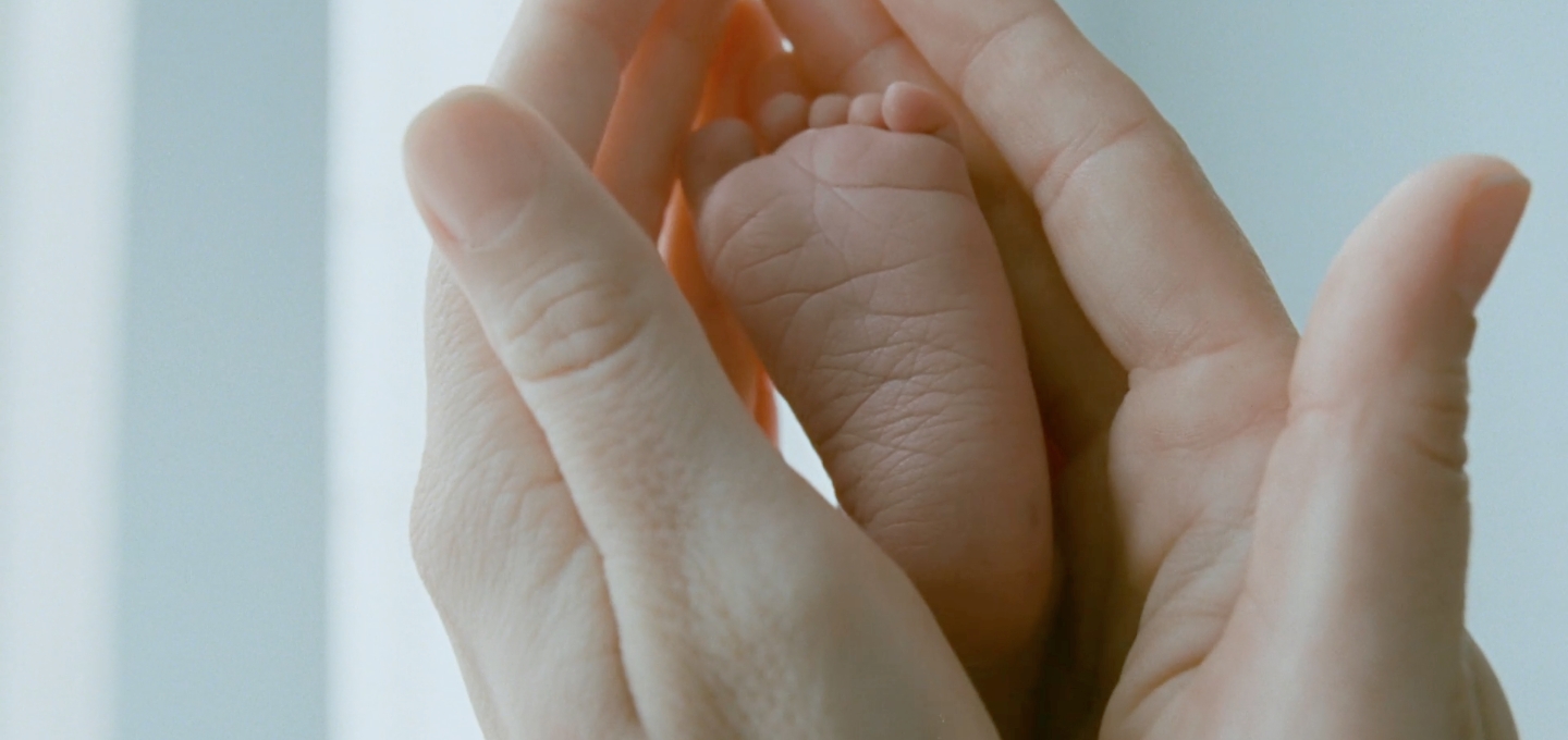 The 15 Best Shots In Terrence Malick's Movies