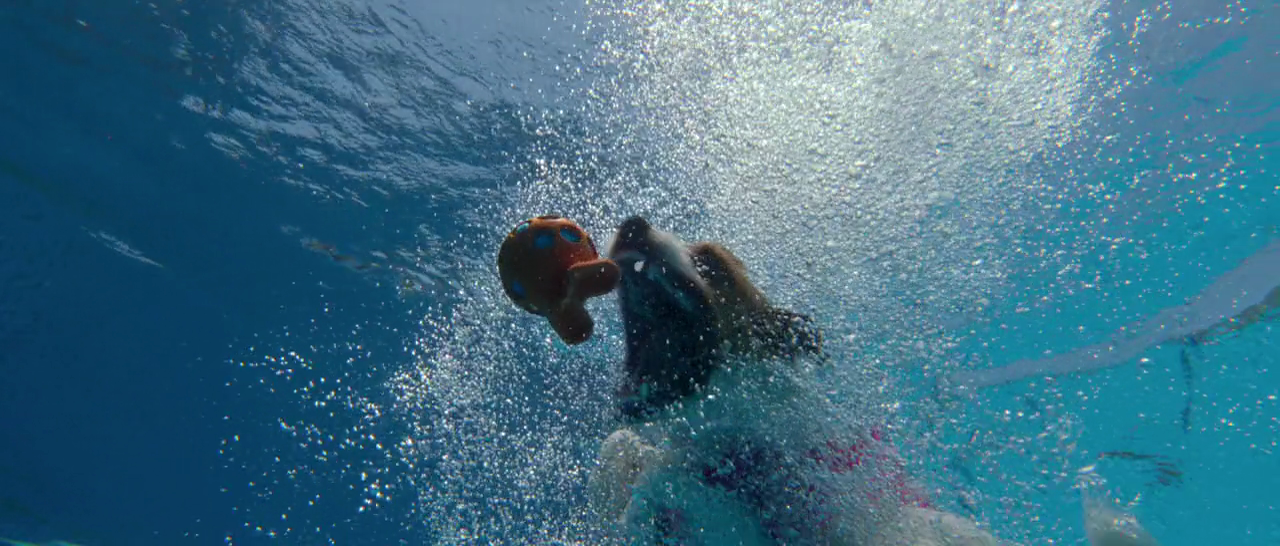 The 15 Best Shots In Terrence Malick's Movies