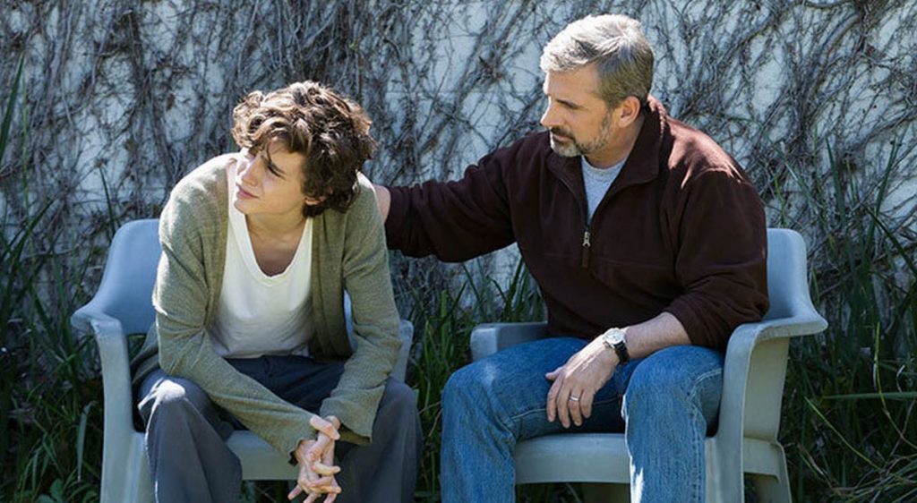 'Beautiful Boy': Steve Carell & Timothée Chalamet Are Terrific In A ...