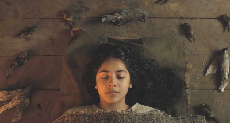 ‘Sorcery’ Review: Christopher Murray Casts A Grim But Beautiful Revenge ... ‘Sorcery’ Review: Christopher Murray Casts A Grim But Beautiful Revenge ...